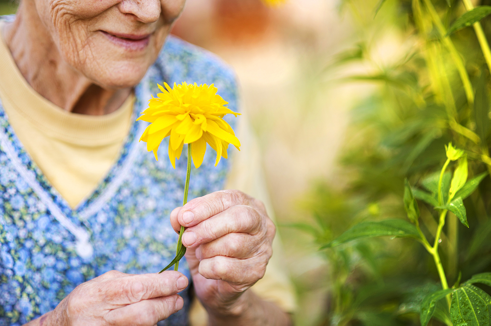 Blog – VaxWorks Health Services