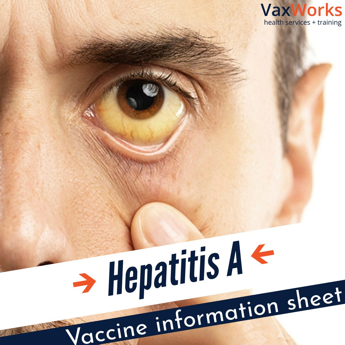 Vaccine Information Sheets – VaxWorks Health Services